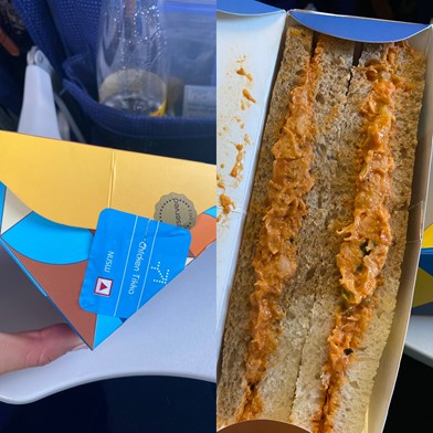 インドを代表するLCC、IndiGOに乗ってみた！インド取材撮影・コーディネーター